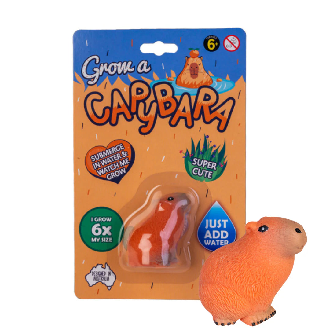 Grow Capybara | Fidget & Sensory Toy Store Australia – The Sensory Sloth