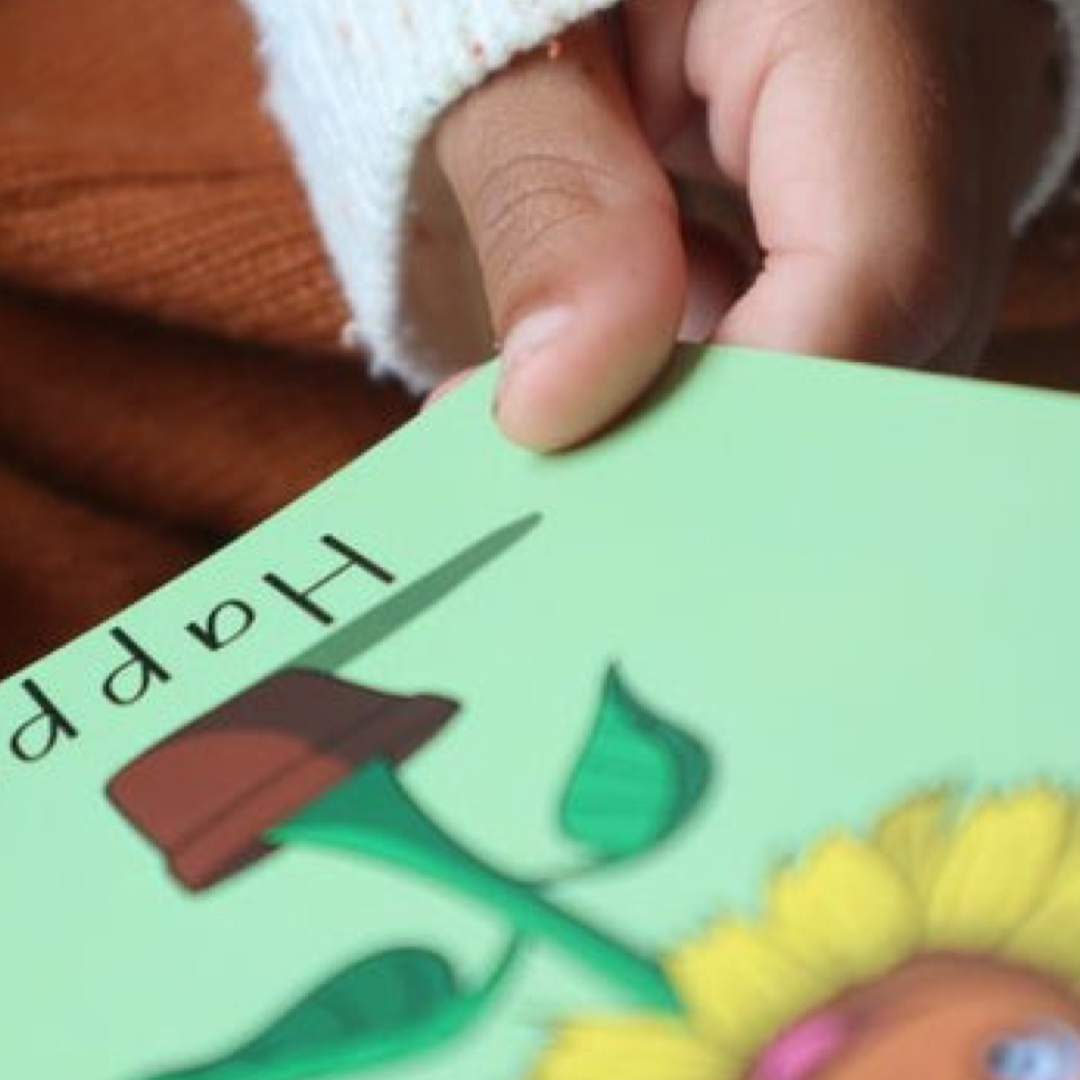 Emotional Regulation Flowers Cards | Emotion Cards |Sensory Tool Shop ...