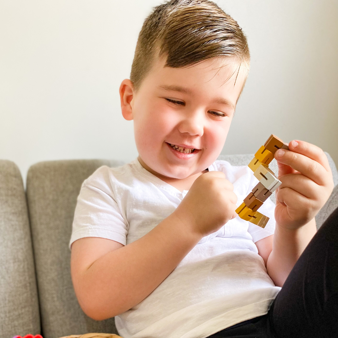 Twist & Lock Fidget Blocks | Sensory Fidget Toy Store Australia – The ...