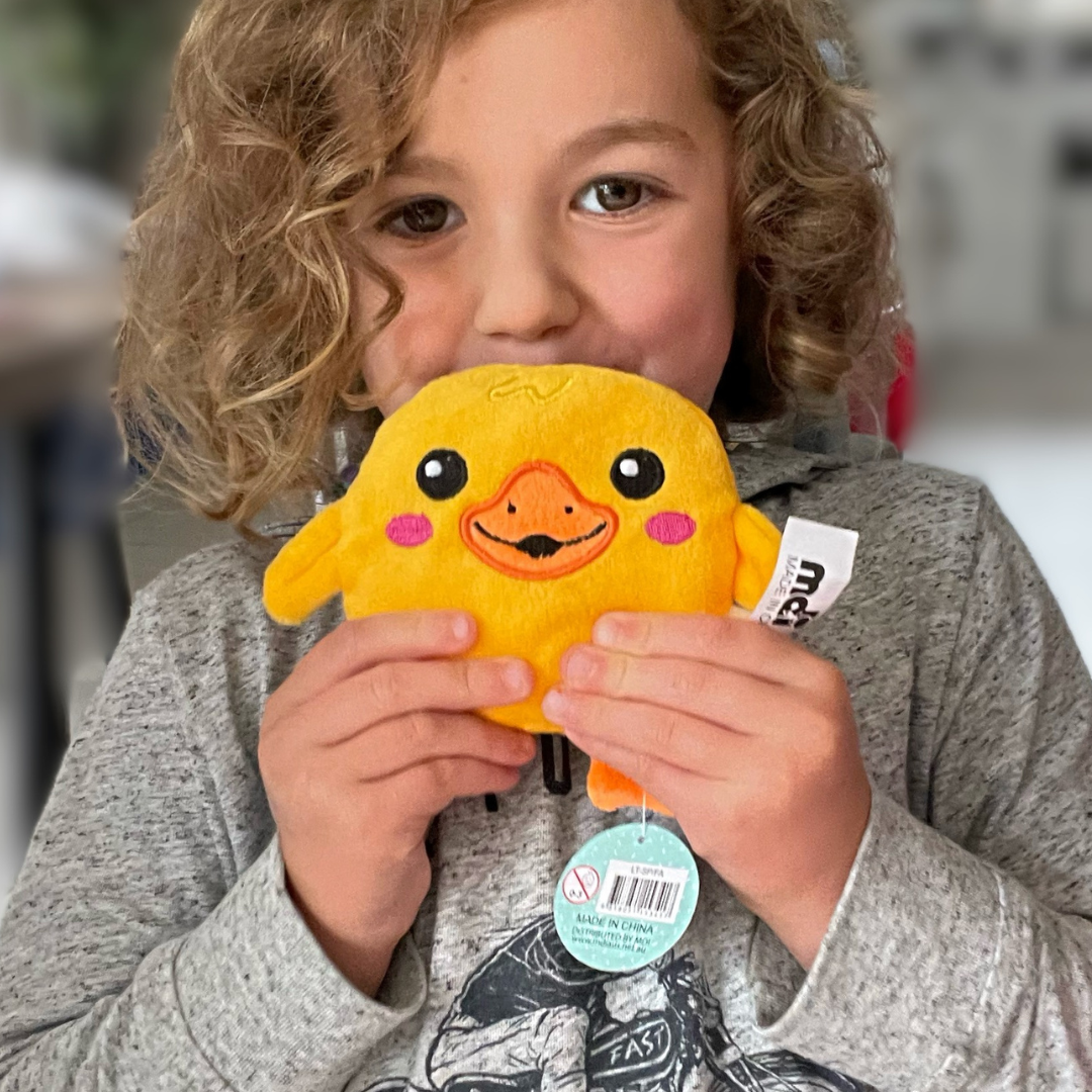 Sand Baggers Sensory Fidget Toy | Fidget Toy Store Australia | Sensory ...