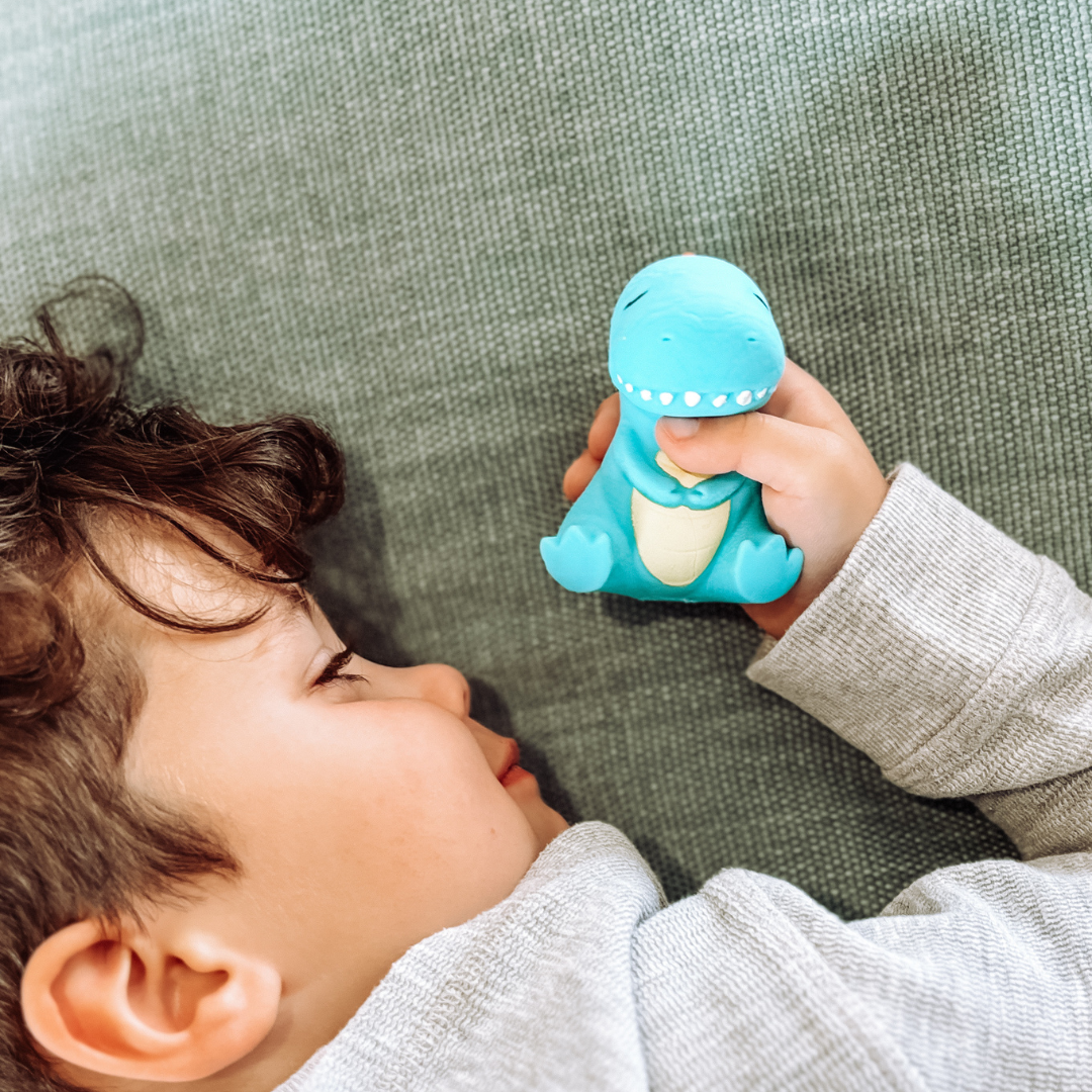 Pullie Pal Stretch Dinosaur Fidget | Fidget Toy Shop Australia – The ...